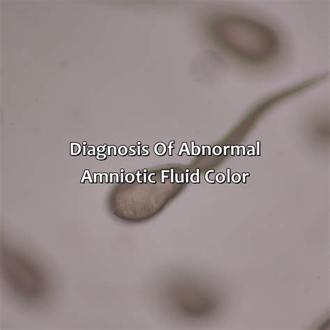What Color Is Amniotic Fluid