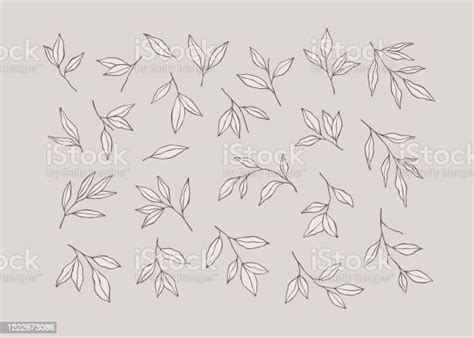 손으로 그린 잎 세트입니다 벡터 식물 일러스트레이션 꽃 브러시 스케치 0명에 대한 스톡 벡터 아트 및 기타 이미지 0명 로고 벡터 Istock