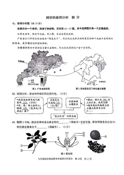 2025年上海市青浦区初三 中考一模 跨学科综合试卷 试卷下载 教习网