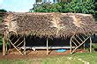 Tongan Fale Photos And Information