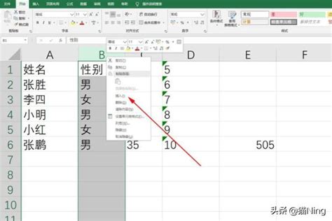 Excel D