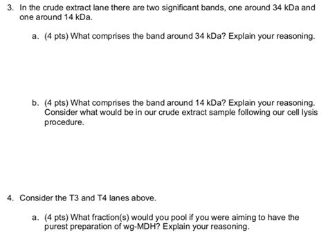Solved 2 8 Pts Annotate The Gel Image Below Your