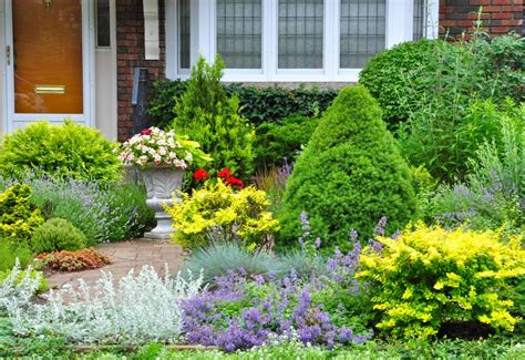 16 Best Shrubs For The Front Of Your House To Create Curb Appeal