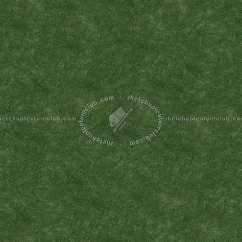 Green Grass Texture Seamless 12997 Green Grass Texture Seamless 12997