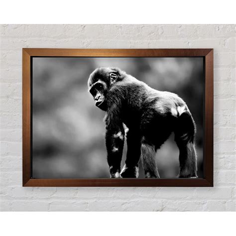 Ebern Designs Frecher Affe Gerahmter Druck Wayfair De