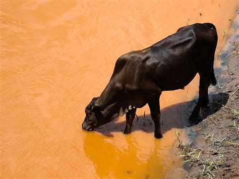 Dois Anos Do Desastre Ambiental De Mariana Agência Brasil