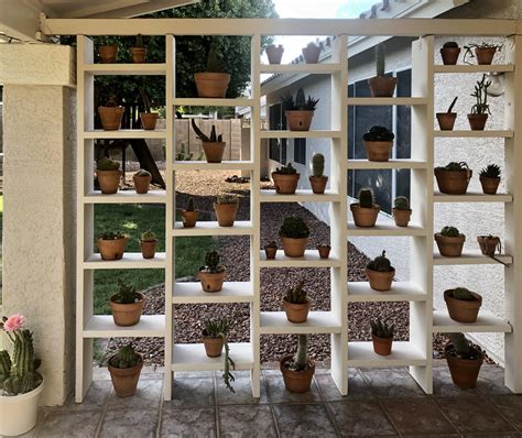 I built some shelves for all of my cactus. : cactus