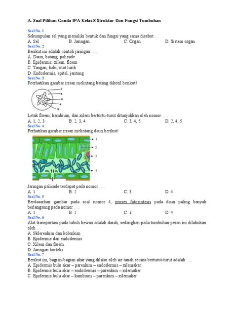 Soal Struktur Tumbuhan Pdf