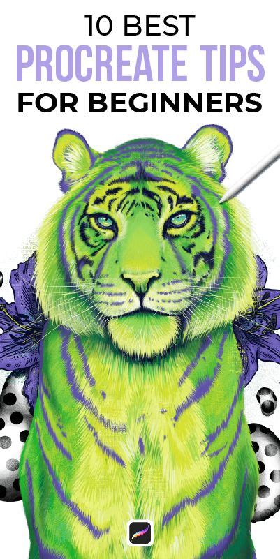 The Ultimate Beginner S Guide To Procreate Part Two Artofit