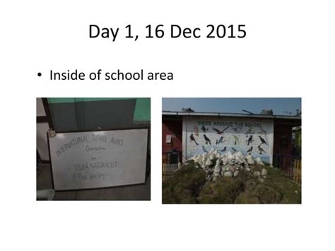 Creative Academy Slide Show Ppt