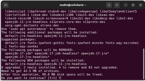 Ubuntu Java