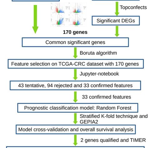 Workflow For Identifying Gene Signatures For Colorectal Cancer Tcga