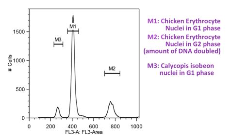 Figure S1 Estimation Of Genome Size Using Flow Cytometry The Download Scientific Diagram