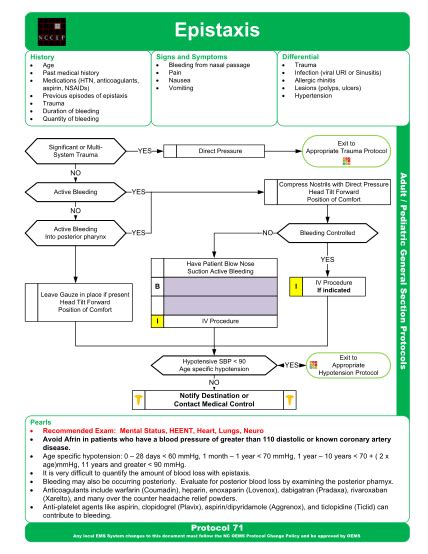 48 Software Project Scope Statement Example Free To Edit Download