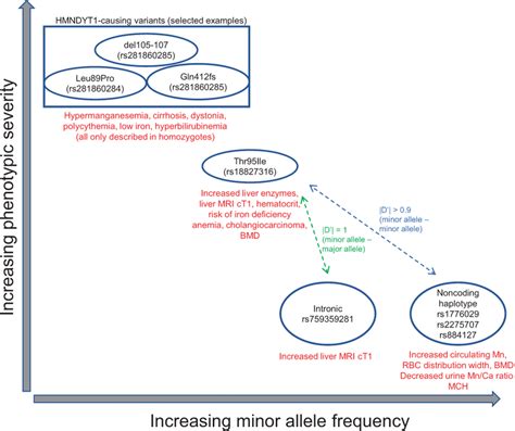 Relationship Of Mendelian And Common Variant Gwas Phenotypes At The