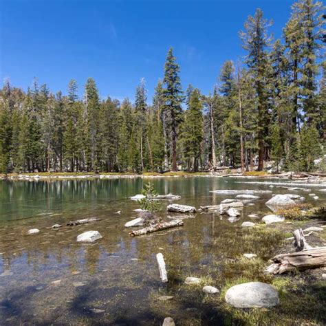 Jennie Lake Out And Back Hiking Trail Map Difficulty Trail Status Onx