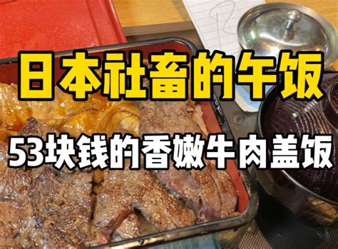 日本平民快乐餐53块钱满满一大碗的牛肉盖饭和甜嫩猪肉 小小白今天午休了吗 小小白今天午休了吗 哔哩哔哩视频