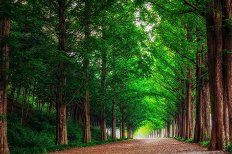 Korean Nature Wallpapers Top Free Korean Nature Backgrounds