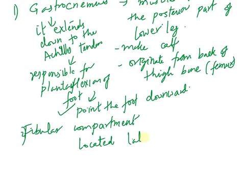 SOLVED Table 12 4 Muscles That Move The Foot MUSCLES THAT MOVE THE FOOT Muscle Origin