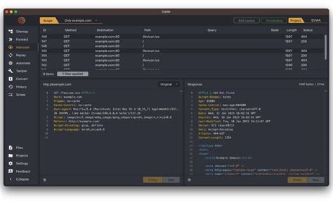 owasp zed attack proxy zap alternatives 25 penetration testing