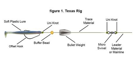 Texas Rig Vs Carolina Rig Which Is Best To Use