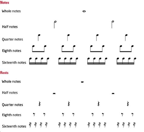 Note And Rest Values MS Diagram Quizlet