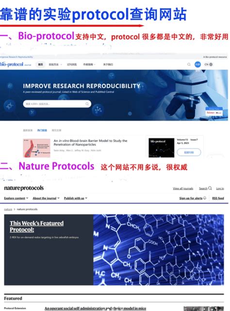 Figdraw官网sci科研绘图数据可视化文献综述 别摸鱼导航