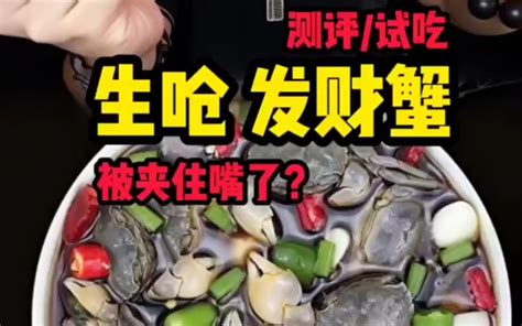 生呛发财蟹你敢吃吗 哔哩哔哩