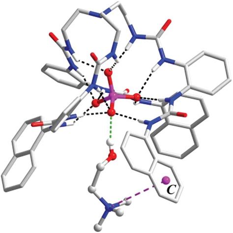 Crystal Structure Of The Ternary Complex L 2 Po 4 Ch 2À 1 Showing