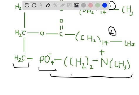 Solved Draw The Expanded Structural Formula For The Monomer You Would Expect To Form Polyvinyl