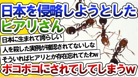 【2ch動物スレ】日本を侵略しようとしたヒアリ、日本の在来種にボコボコにされて涙目敗走してしまうww Youtube