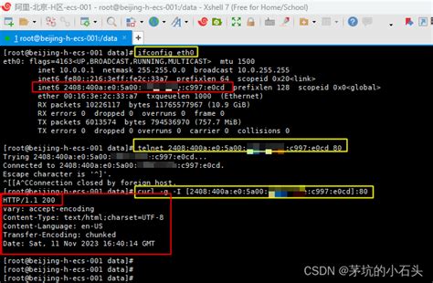 阿里云配置ecs实例的ipv6地址，开通公网ipv6阿里云ecs Ipv6 Csdn博客