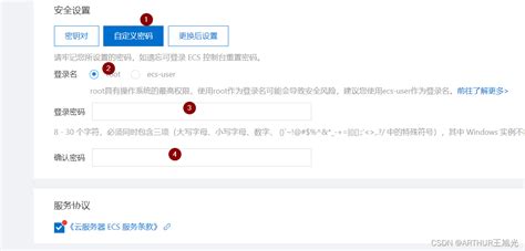 通过wsl在阿里云上部署vue项目wsl阿里云 Csdn博客