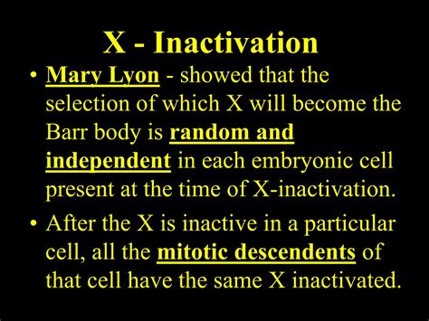Ppt Sex Chromosomes And Nondisjunction Diseases Powerpoint