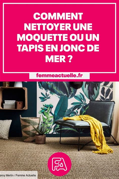 Comment Nettoyer Une Moquette Ou Un Tapis En Jonc De Mer