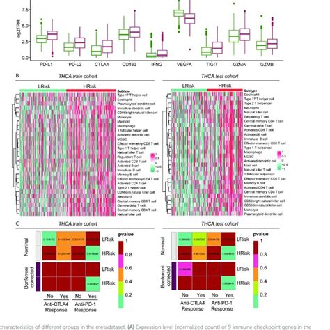 Differentially Expressed Gene DEG Analysis And Intersection Showing Download Scientific