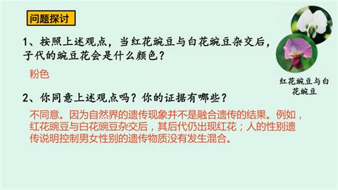 1 1孟德尔的豌豆杂交实验（一）课件 共23张ppt 2022 2023学年高一下学期生物人教版必修2 21世纪教育网