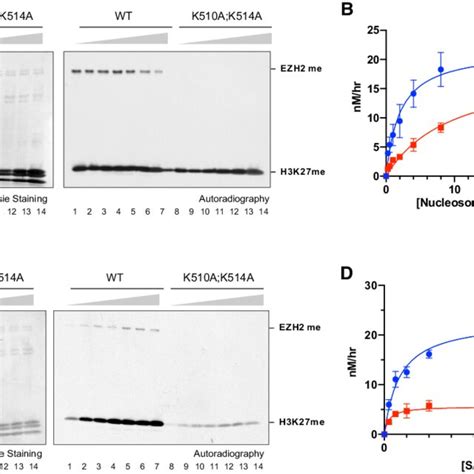 Excessive Nucleosomal Substrates But Not Sam Rescued The Catalytic Download Scientific