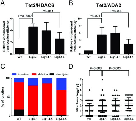 Interchromosomal Translocation Mediated By A Ej In Lig1 Or Nuclear