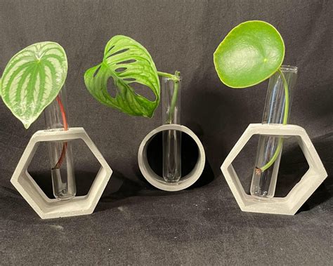 Handmade Circle Propagation Stand Plant Propagation Kit Concrete Plant Clipping Display Etsy