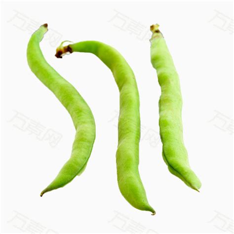 弯豆角图片大全豆角图片大全大图 伤感说说吧