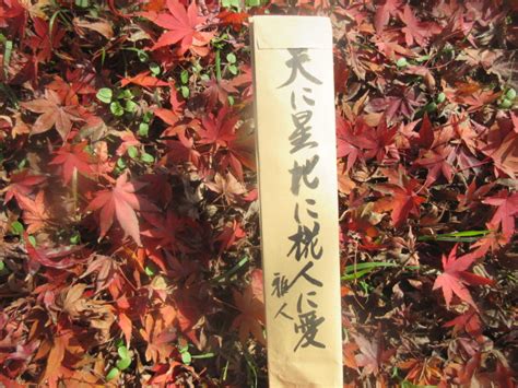 天に星地に楓人に愛 剣持雅舟のブログ