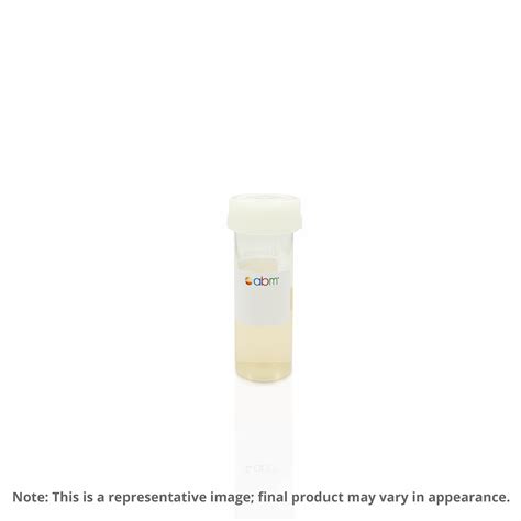 Insulin Transferrin Sodium Selenite Supplement 100x Applied Biological Materials Inc