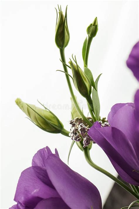 Creative Bold Composition Made With Purple Flower Aesthetic Jewelry