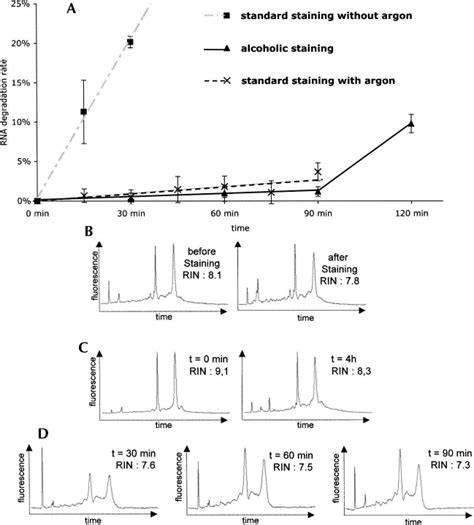 Rna Integrity Along The Microdissection Process A Degradation Of