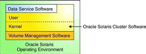 Software Components For Cluster Hardware Members Oracle® Solaris Cluster Concepts Guide
