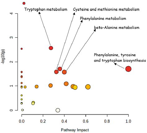 Summary Of Pathway Analysis Download Scientific Diagram