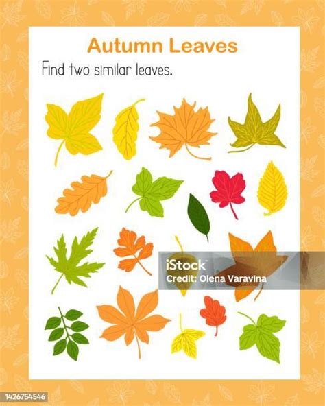 Trouvez Deux Activités Éducatives Similaires Sur Les Feuilles Darbre