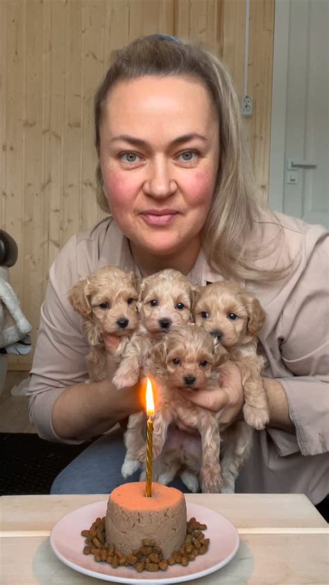 Питомник СОБАК Москва А вы уже загадали Сбылось Instagram