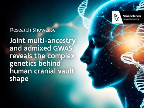 Joint Multi Ancestry And Admixed Gwas Reveals The Complex Genetics Behind Human Cranial Vault Shape